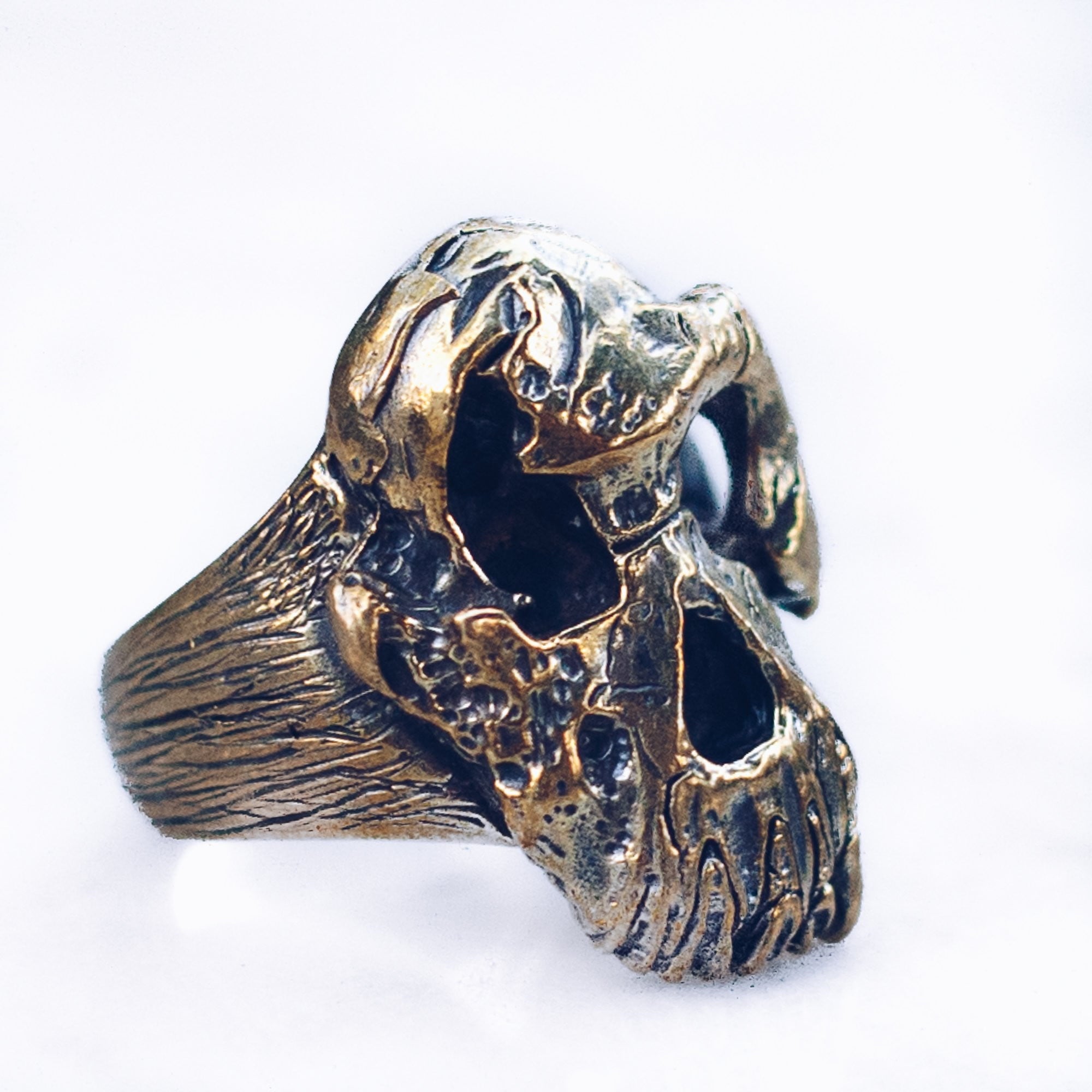 FIRST HUMAN RING | BRASS